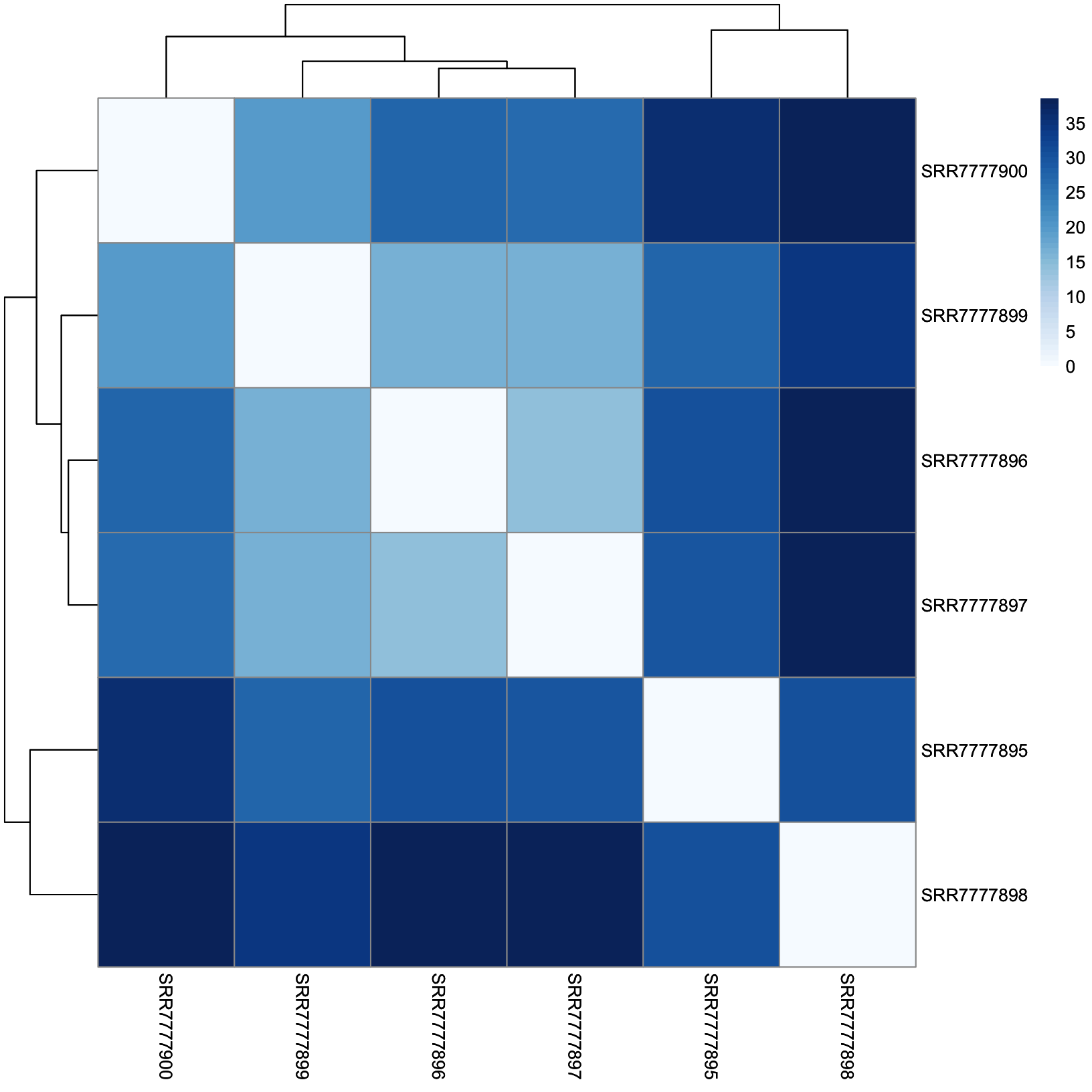 Module 11X: Bonus Content