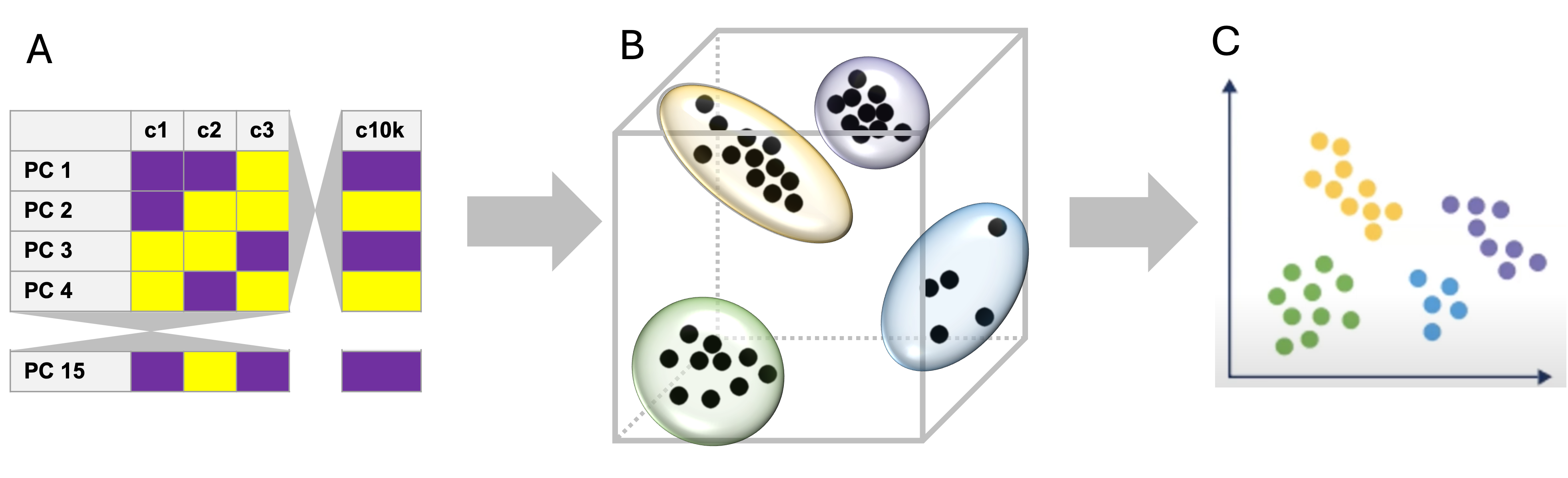 Clustering And Projection